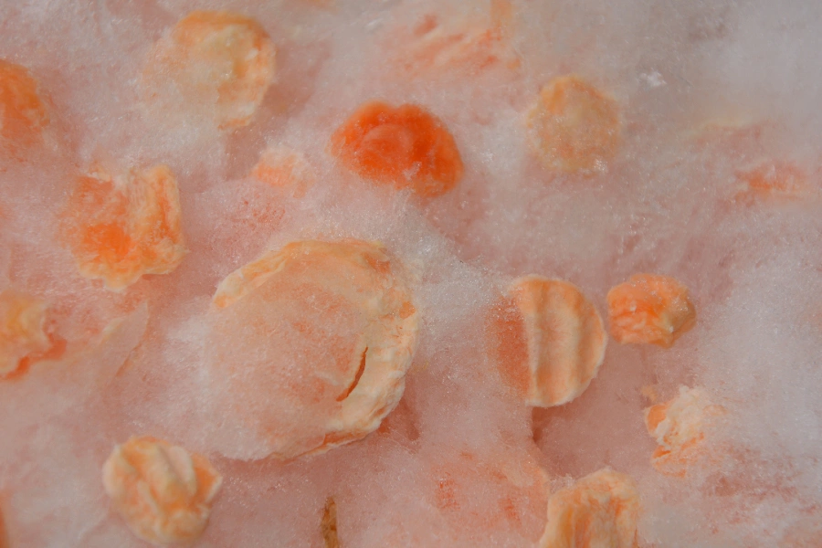 What Is Freezer Burn? Causes, Effects, and Prevention Tips | Don Fuller